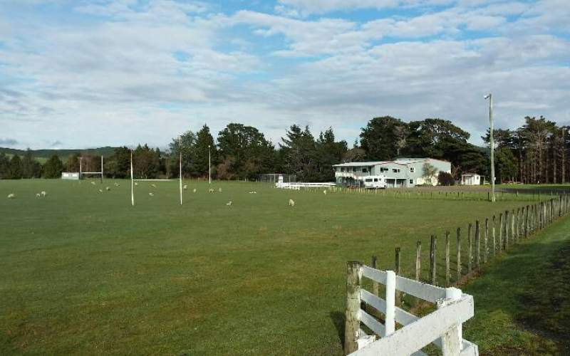 Pongaroa Domain | Freedom/Basic Camp | New Zealand